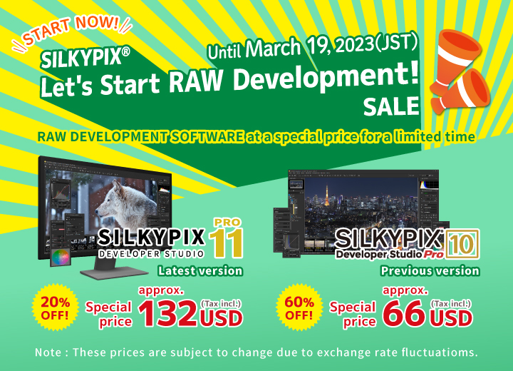 ISL Online Store / Let's Start RAW Development2023